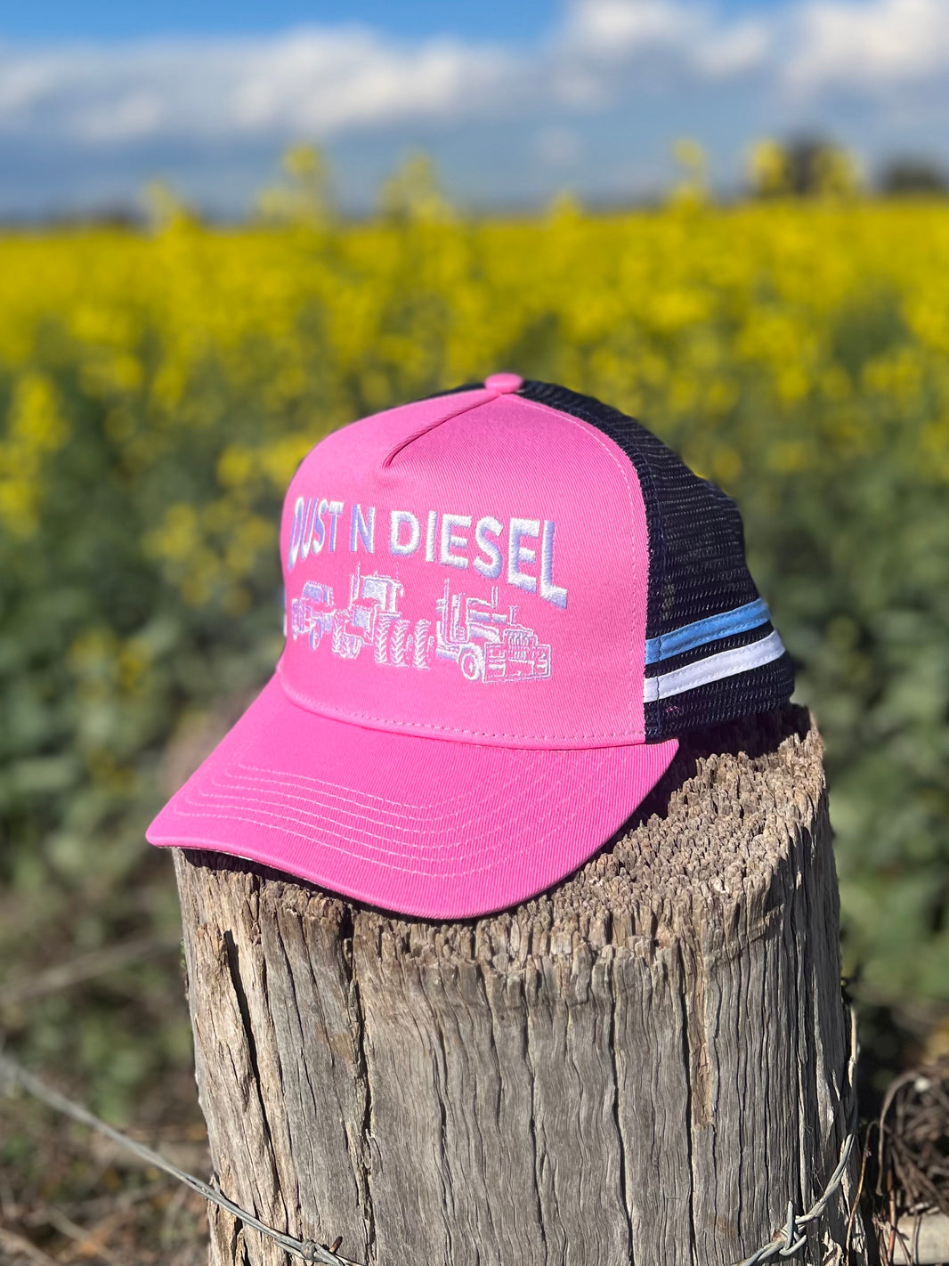 Dust N Diesel